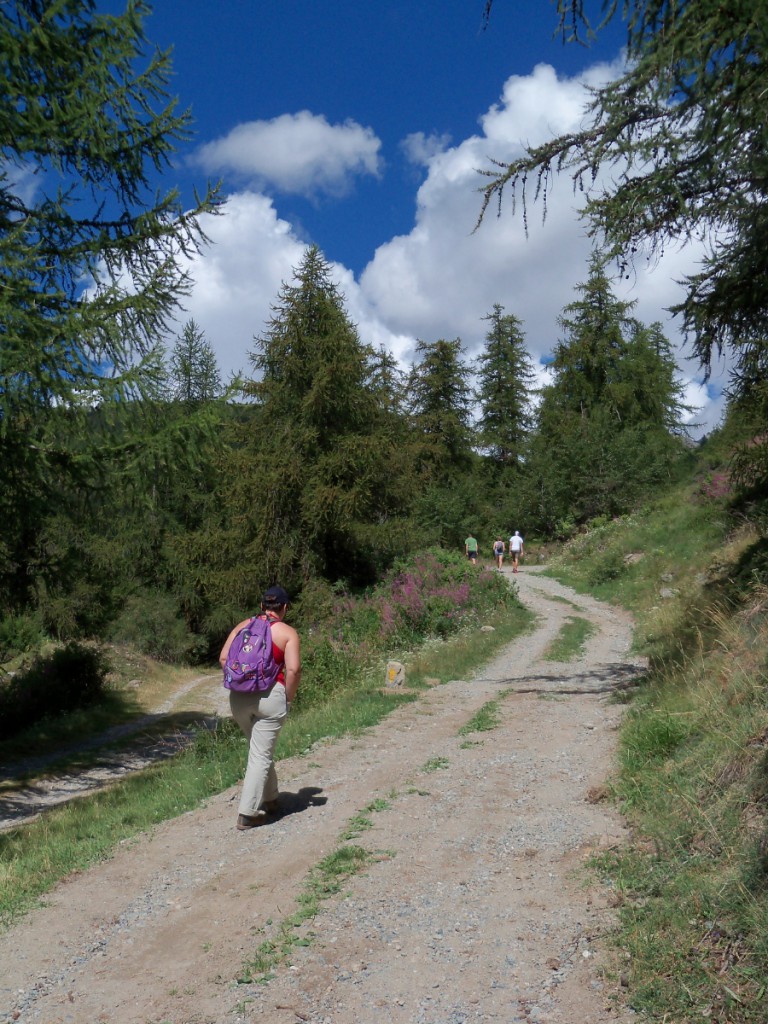 ESCURSIONI IN VALLE D'AOSTA Eternod-Monte Paglietta: un itinerario da ...