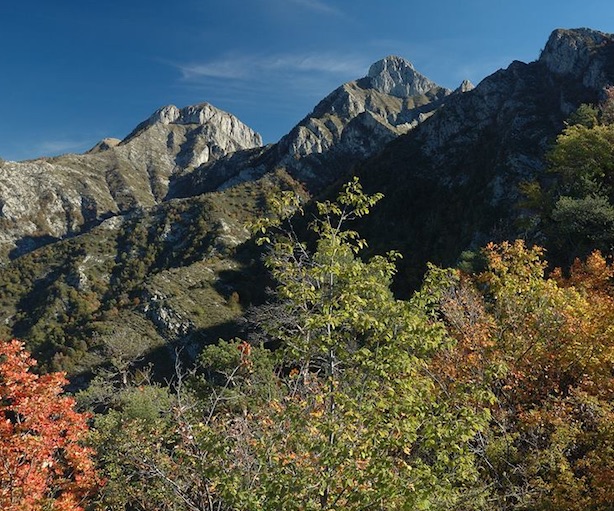 LE ALPI DEL MEDITERRANEO. Parco Alpi Liguri, 19-26 febbraio 2017 ...
