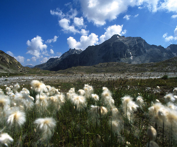 Si apre con i grandi tour delle Alpi occidentali, il ciclo di serate ...